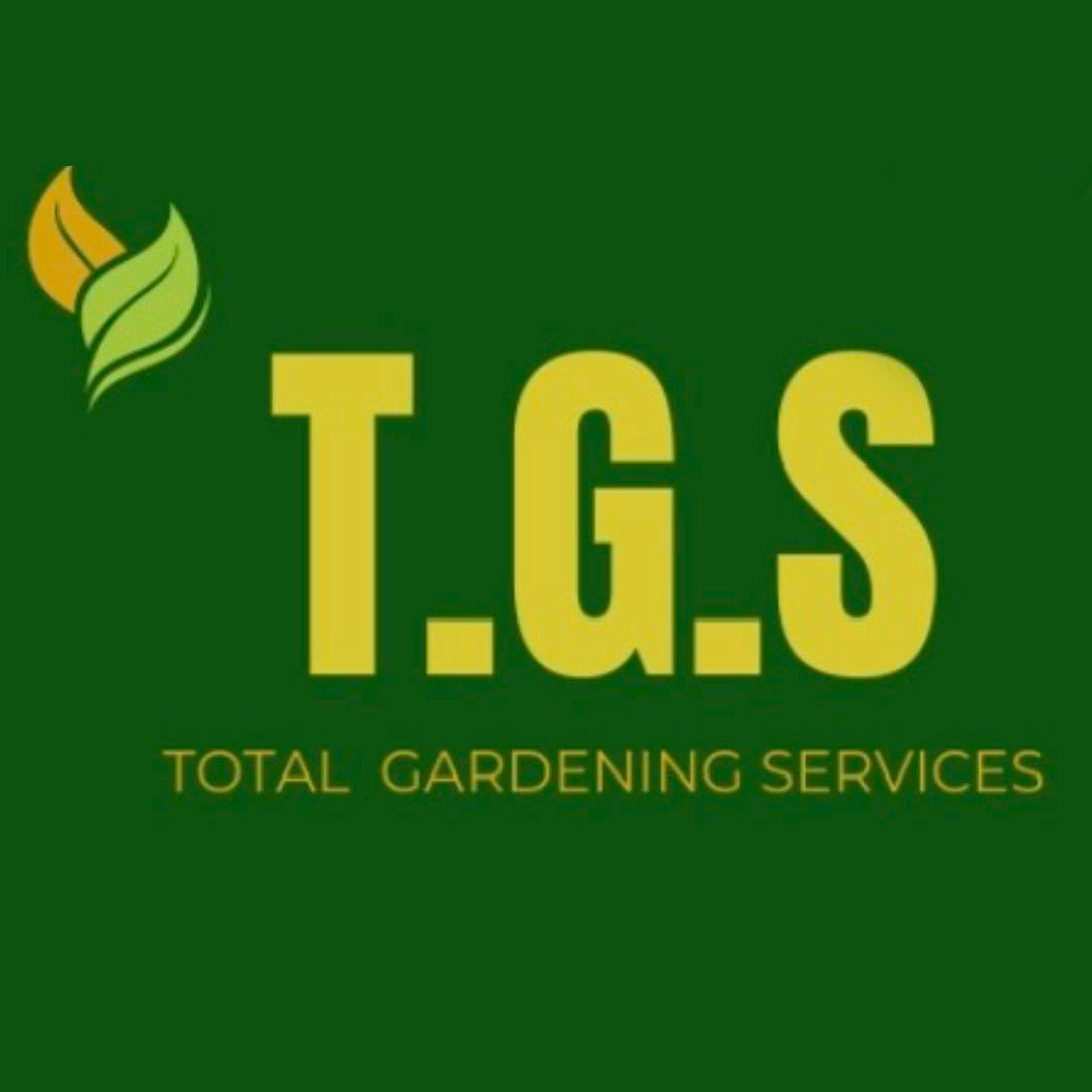 Exterior Cleaning Services In Andersonstown | Exterior Cleaning ...